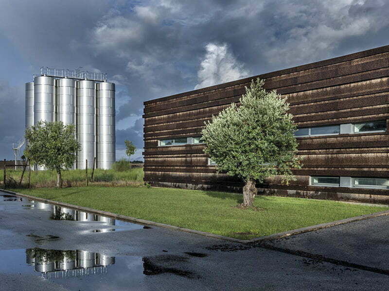 Casa Agrícola Alexandre Relvas alarga atividade ao enoturismo