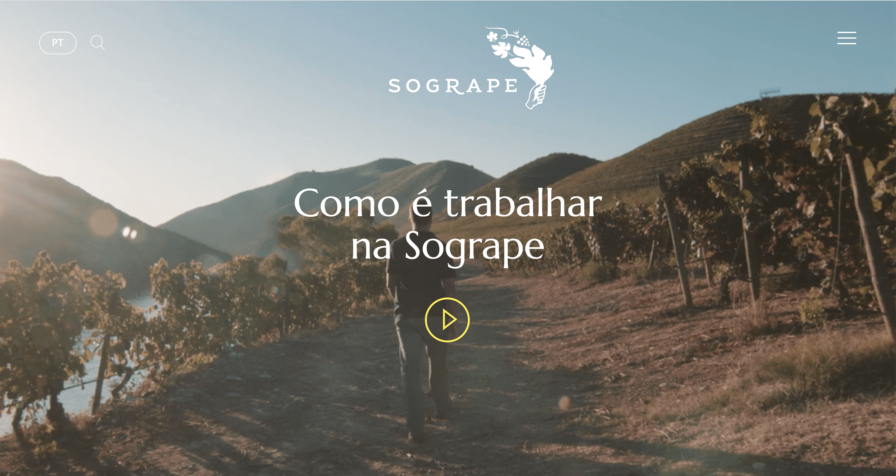 Sogrape apresenta novo website - Grande Consumo