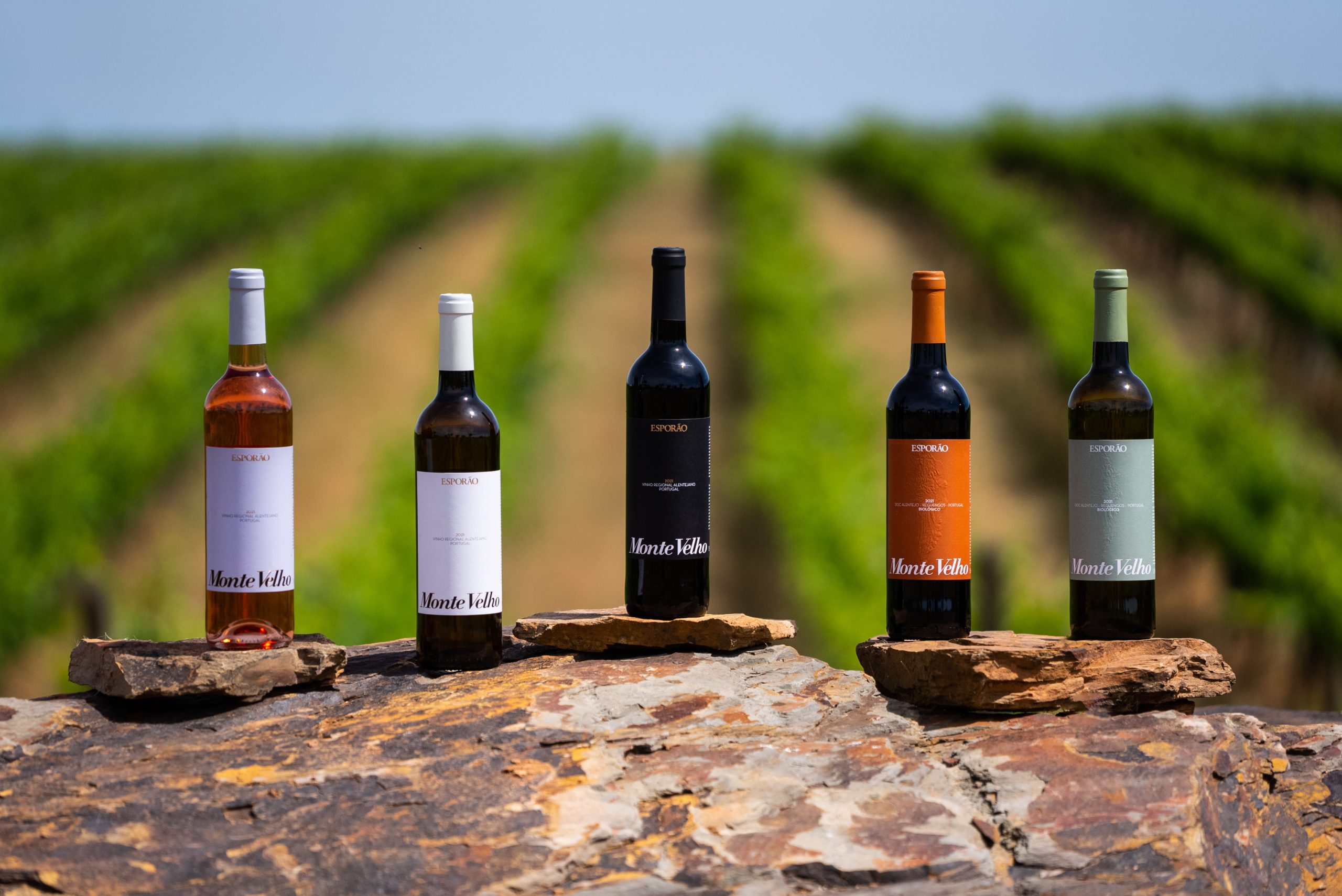 Monte Velho renova imagem - Grande Consumo