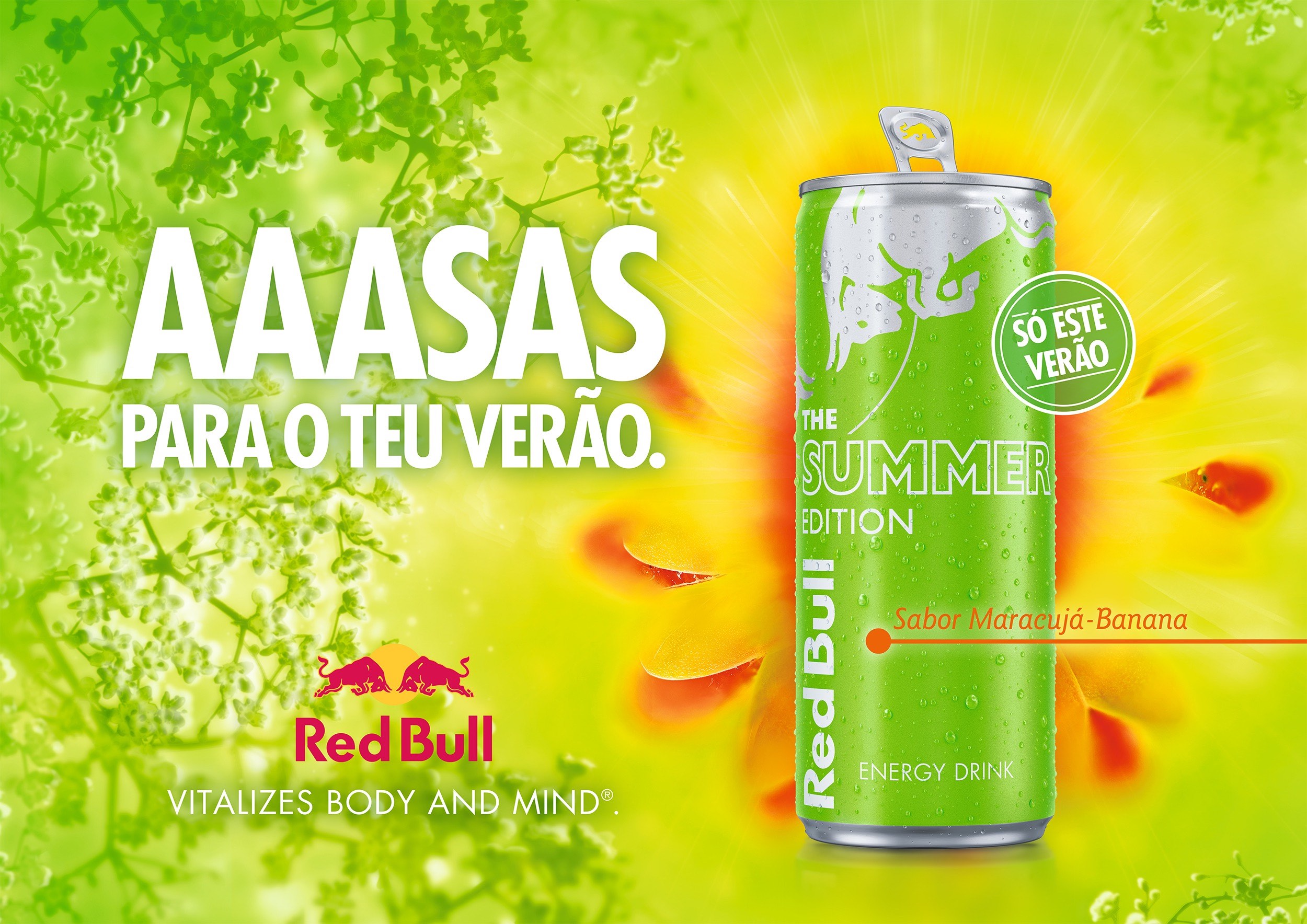 Nova Red Bull Summer Edition já chegou ao mercado nacional - Grande Consumo