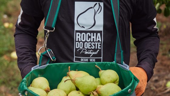 Água engarrafada: quais as marcas preferidas pelos portugueses ...